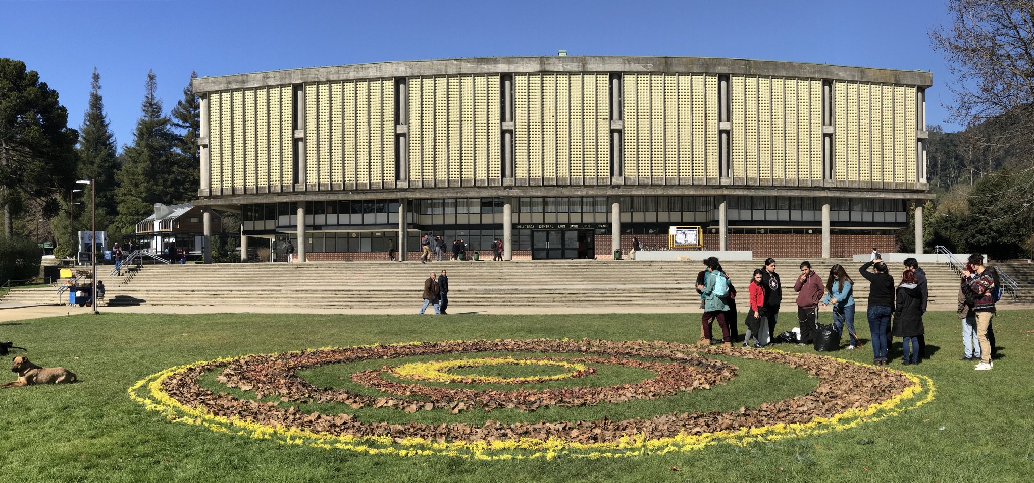 Particular intervención artística llamó la atención en la UdeC