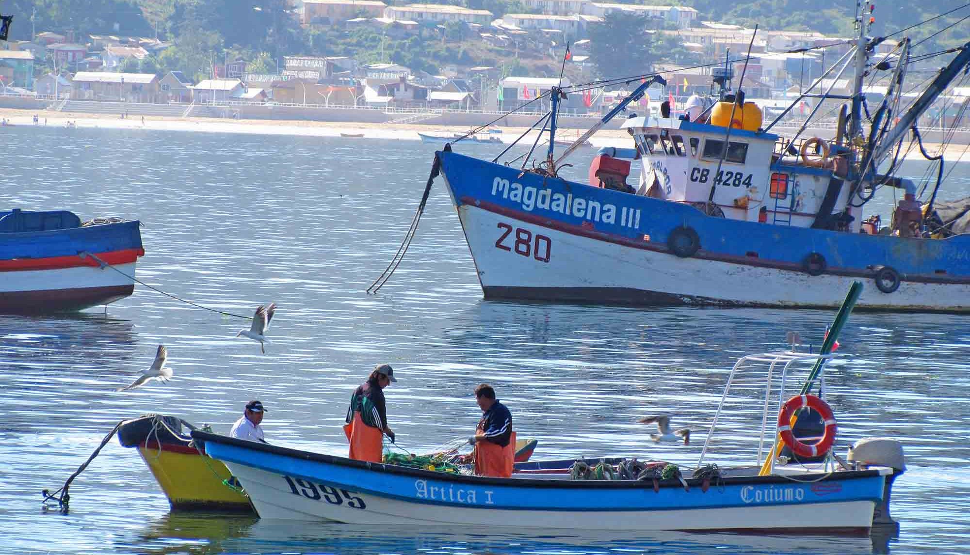Economía y Medio Ambiente: ¿Cuál es la realidad de la Pesca en Chile?