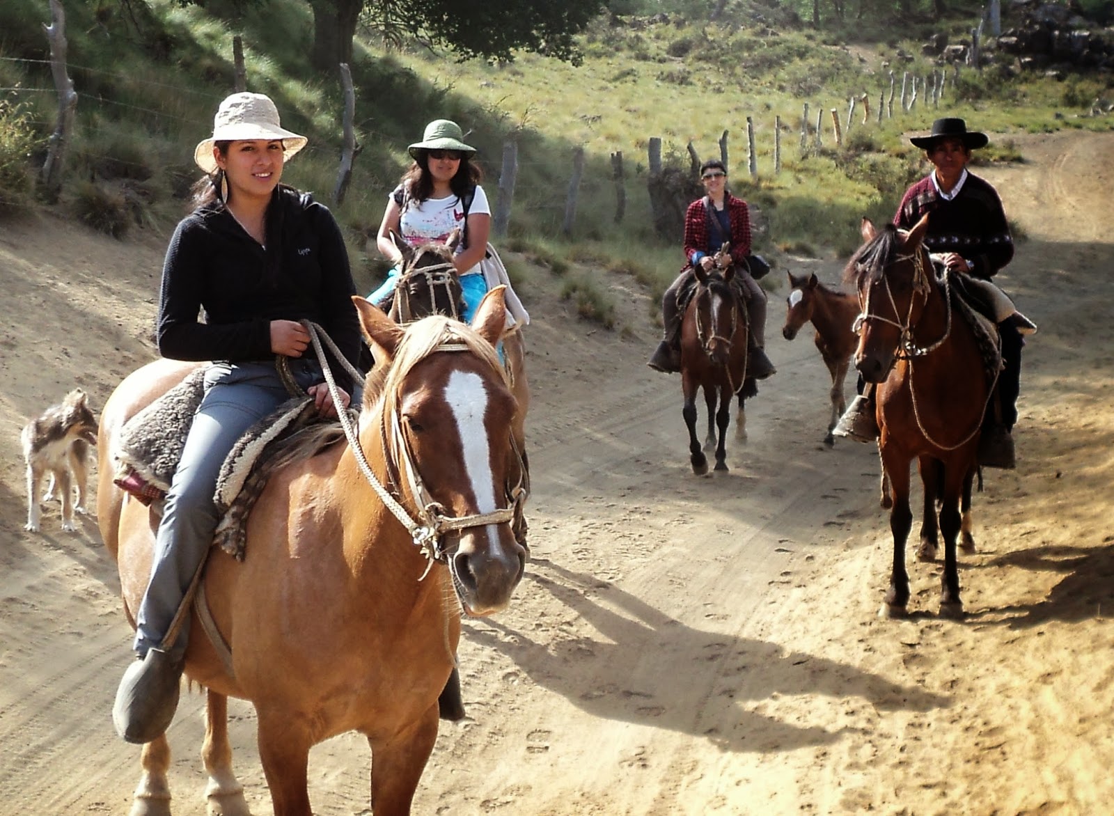 Alto Biobío ofrece diversas actividades para este verano 2019