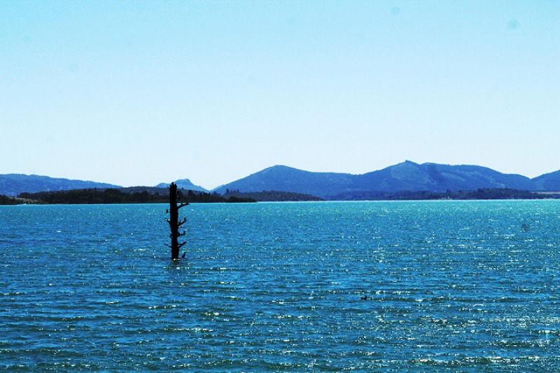 Central y Parque Angostura en Colbún se potencian como destino turístico