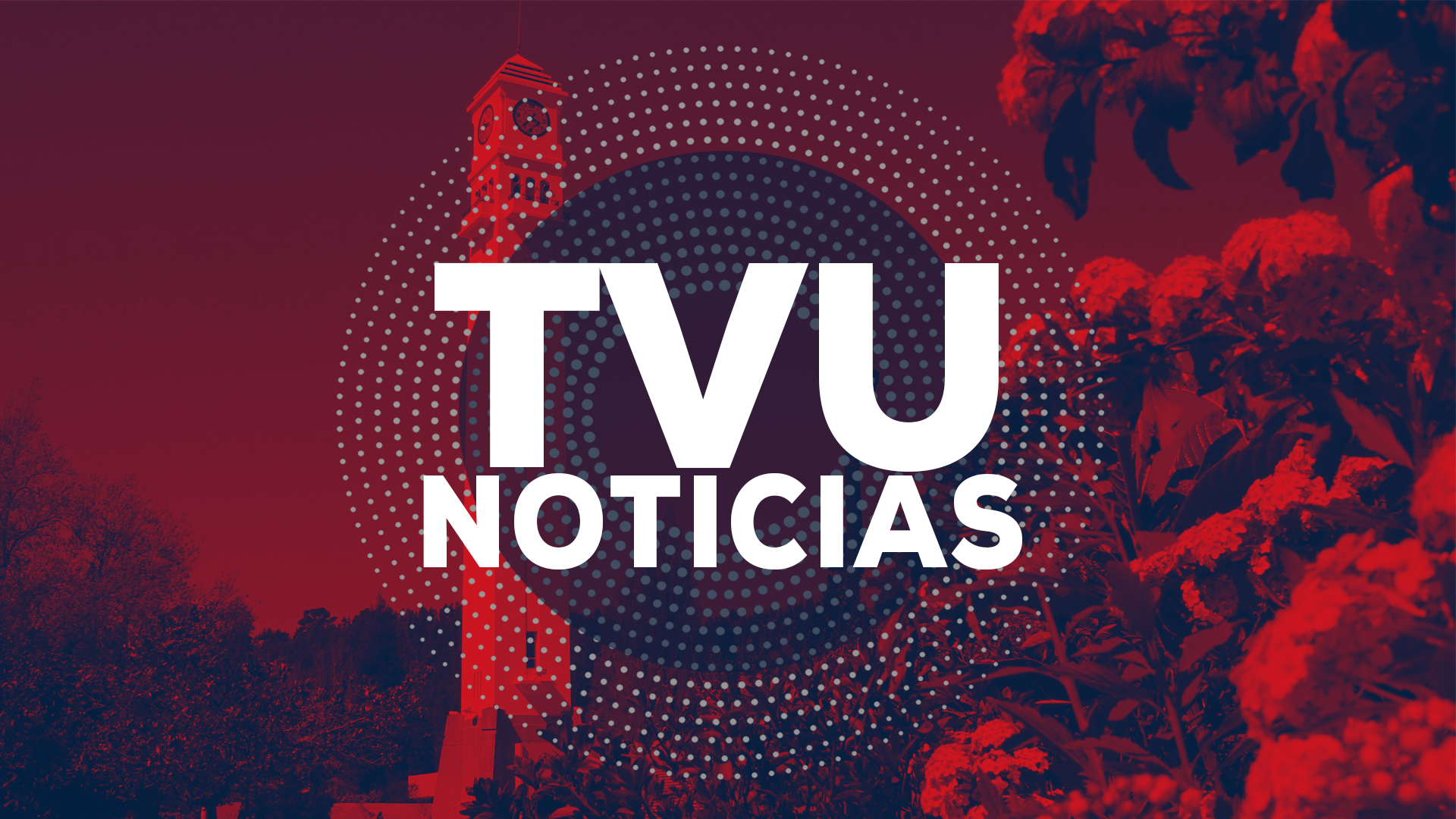 TVU Noticias - 24 de octubre 2019