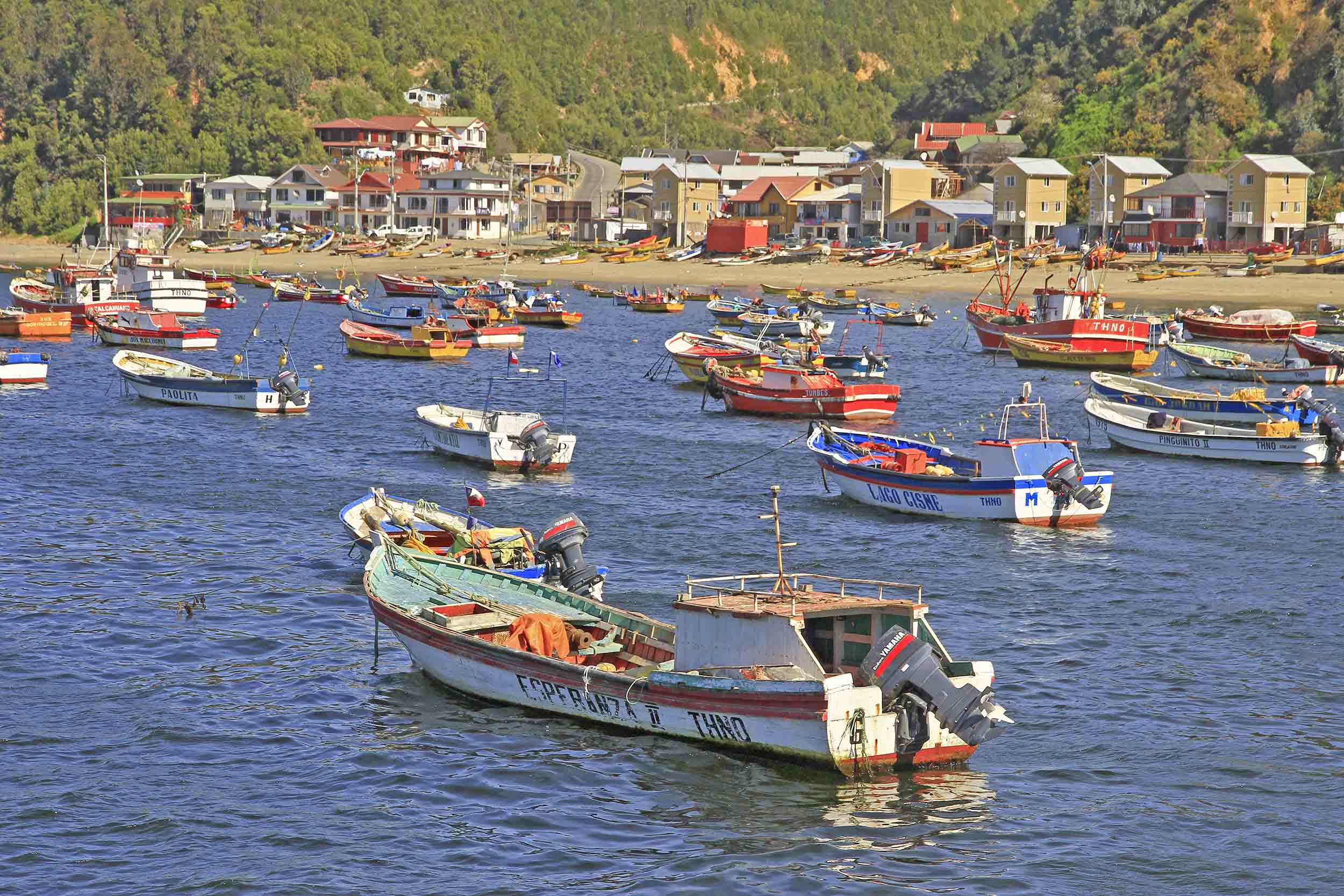 Embancamiento de 120 botes pesqueros en caletas de la Región del Biobío
