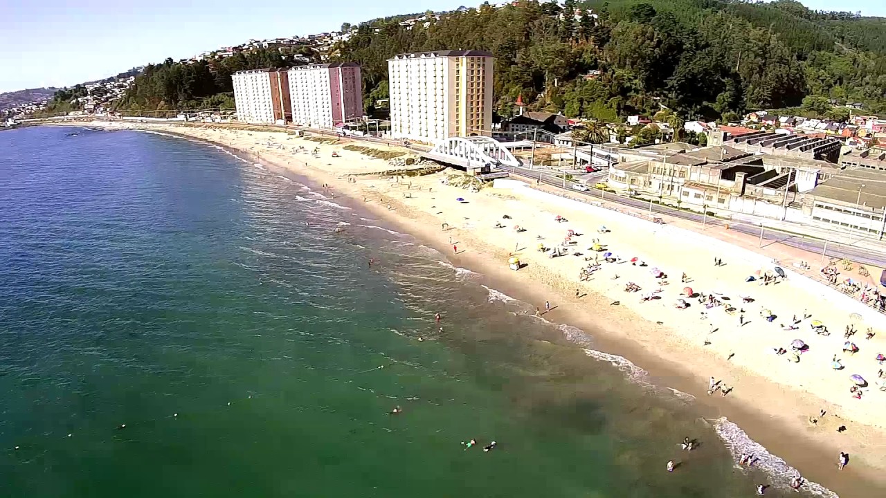 Constituyentes en Tomé destacaron la importancia del ecosistema marino ...