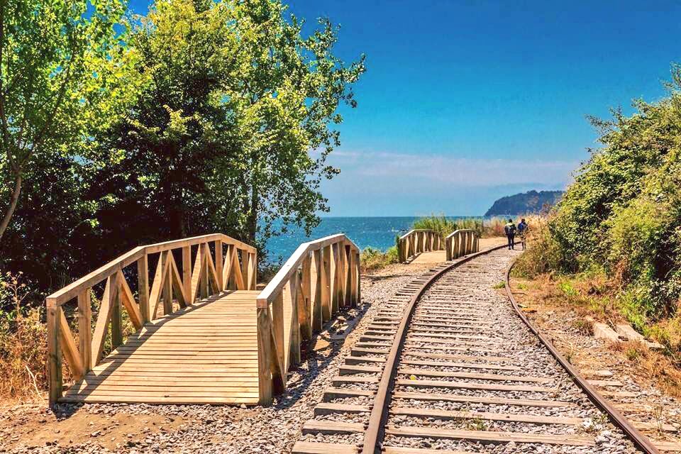 La magia del sendero "La Cata": un panorama familiar escondido en el ...