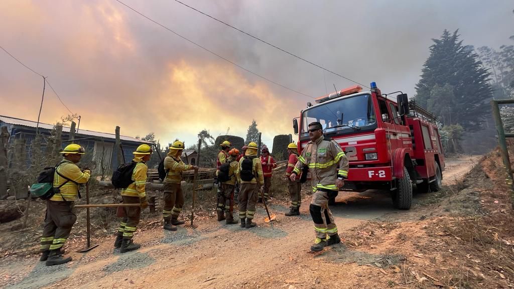 Incendio forestal en Penco sigue fuera de control: sospechan ...