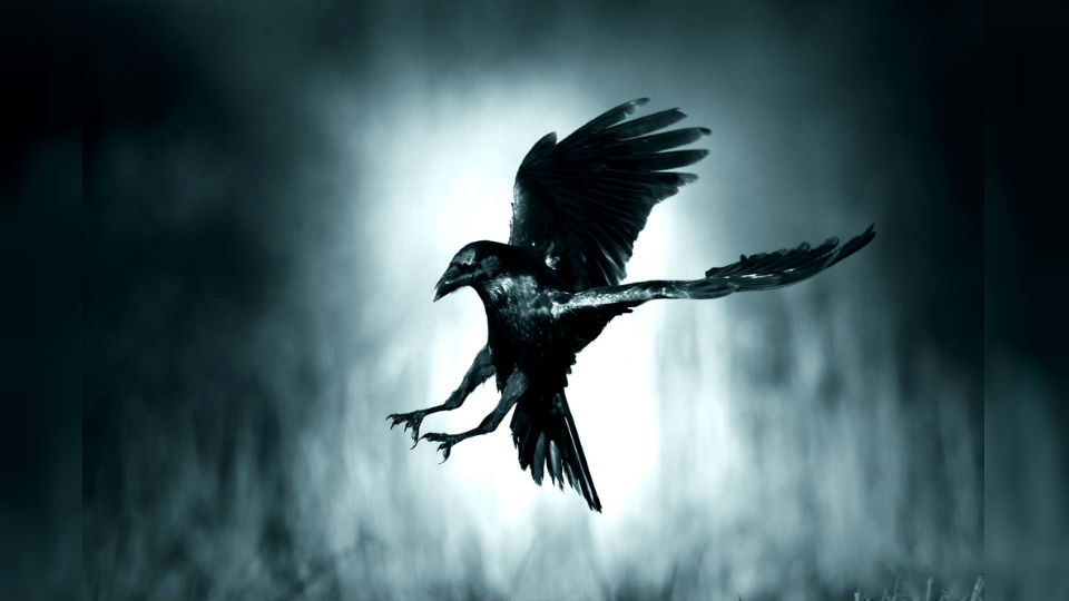 ¿Le tienes miedo al Tué Tué? ¿Crees en el pacto con del diablo? Conoce ...