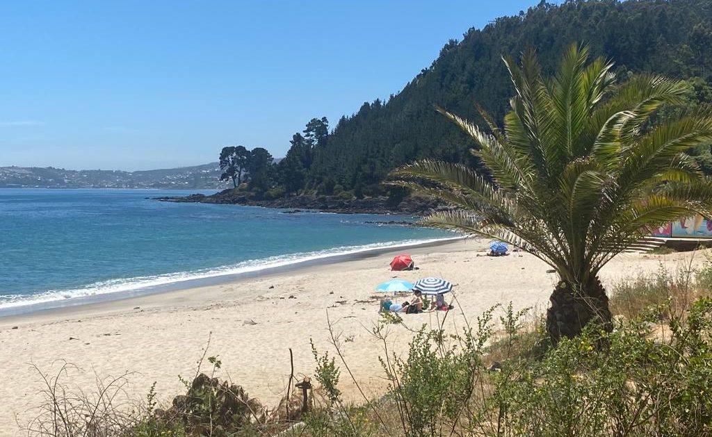 Pudá, Punta de Parra y Pingueral se alistan para una nueva temporada de ...