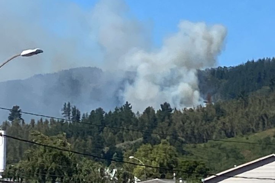 Refuerzan patrullaje en Cerro Manquimávida de Chiguayante para evitar ...