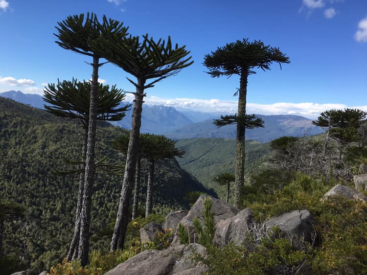 Los desafíos para alcanzar el máximo potencial cultural y turístico de ...