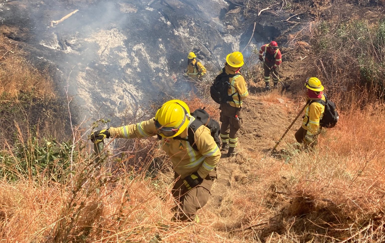 Tras 11 días de emergencia: ¿Cuál es el balance de Conaf sobre los ...
