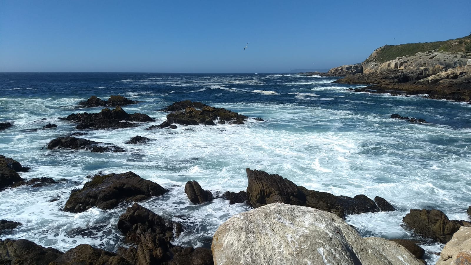 Mes del Mar: ¿Cuál es la protección de las zonas costeras en Chile?