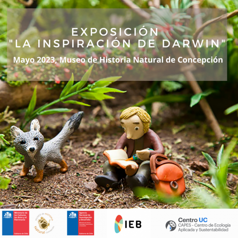 Ciencia y Arte en Concepción: exposición "La inspiración de Darwin" y ...