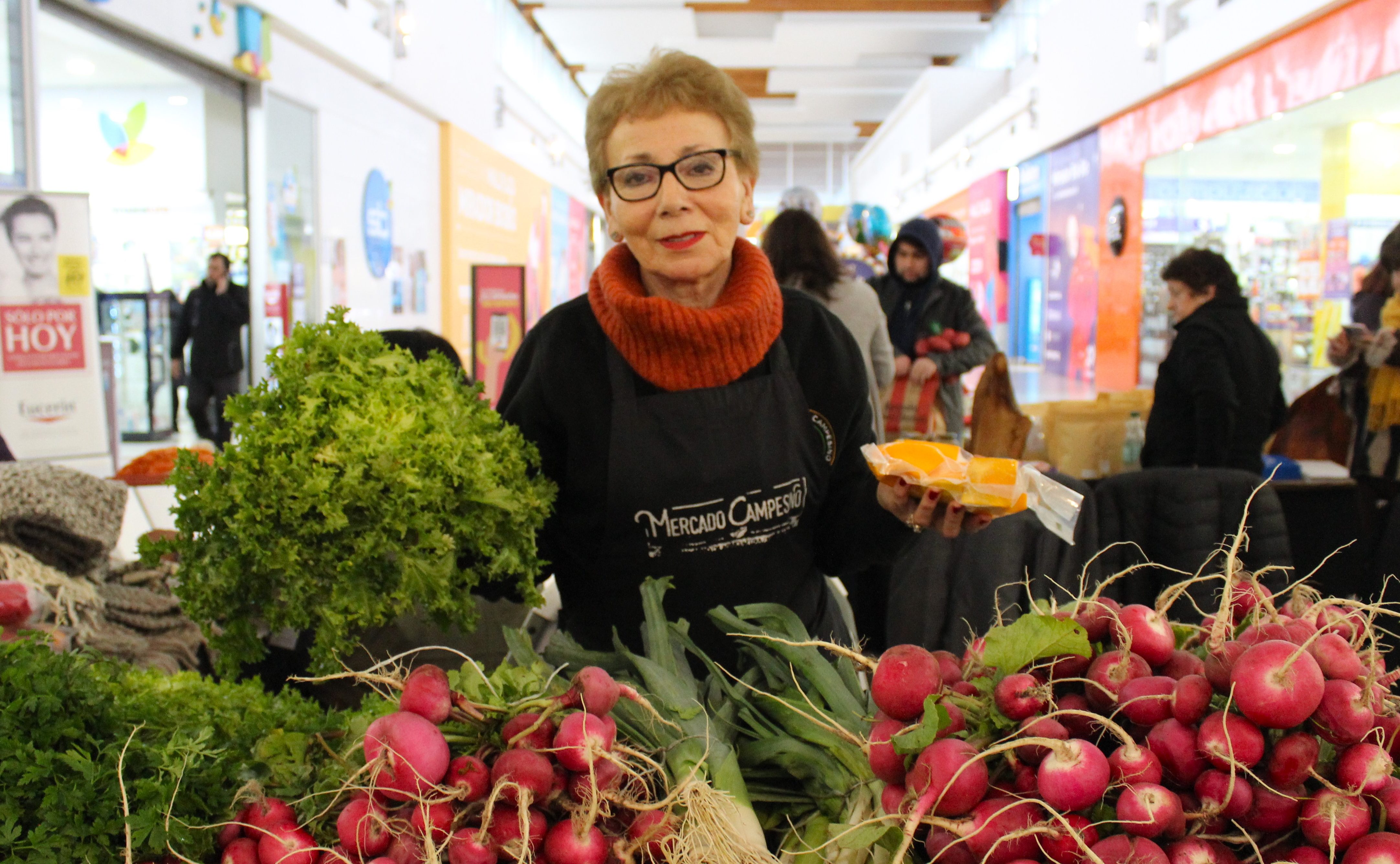 Del campo a la mesa: nuevo Mercado Campesino se desarrolla en Concepción