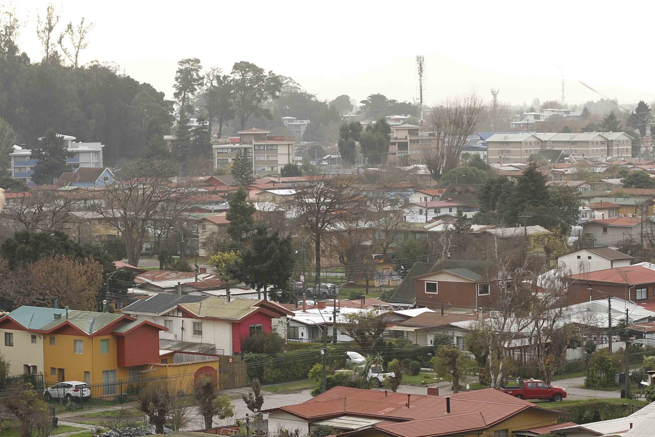 Primarias 2024: conoce a los candidatos de San Pedro de la Paz del ...