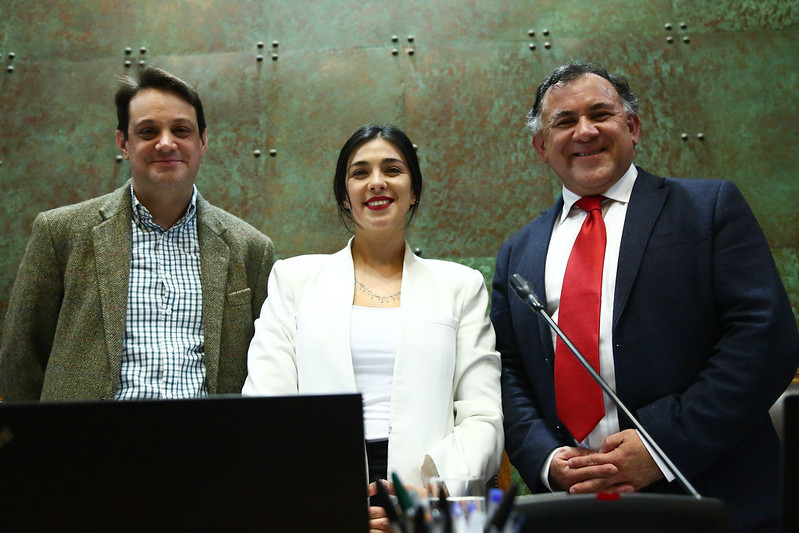 Karol Cariola es electa como presidenta de la Cámara de Diputadas y ...