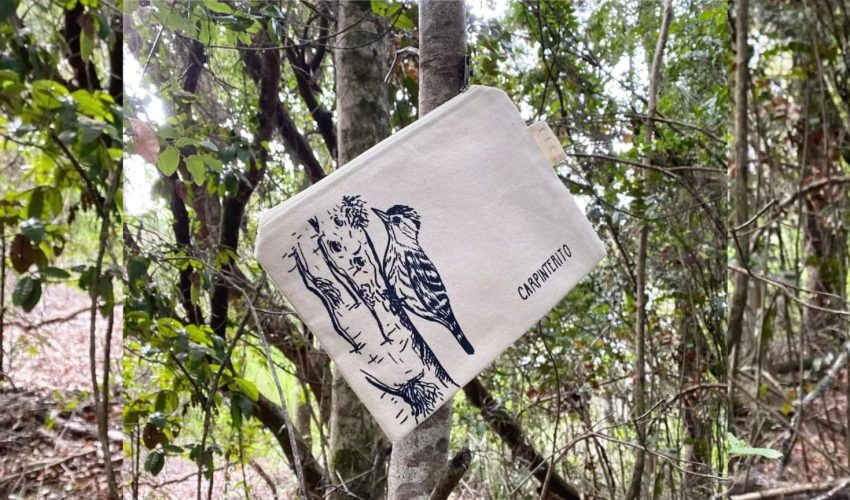 Raco: productos con ilustraciones que te acercan a la naturaleza ...