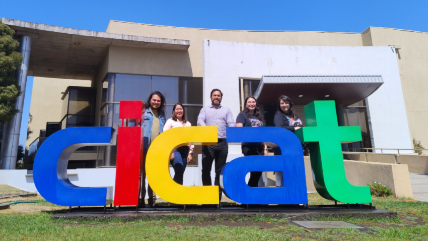 Las imperdibles actividades gratuitas de Cicat para este verano: conoce ...