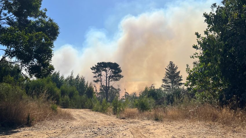 Reiteran medidas de autocuidado ante exposición al humo por incendios ...