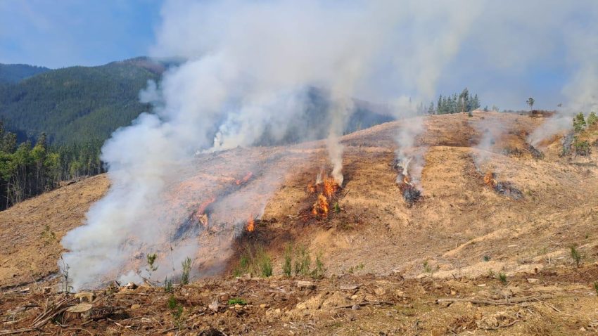 Uso del fuego vuelve a permitirse en parte del Biobío pese a recientes ...