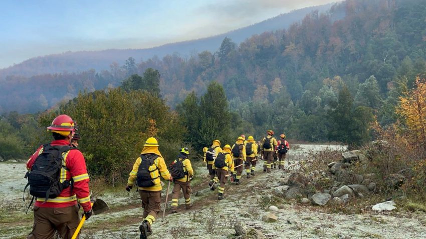 Antuco, Santa Bárbara y Mulchén concentran incendios que ya alcanzan ...
